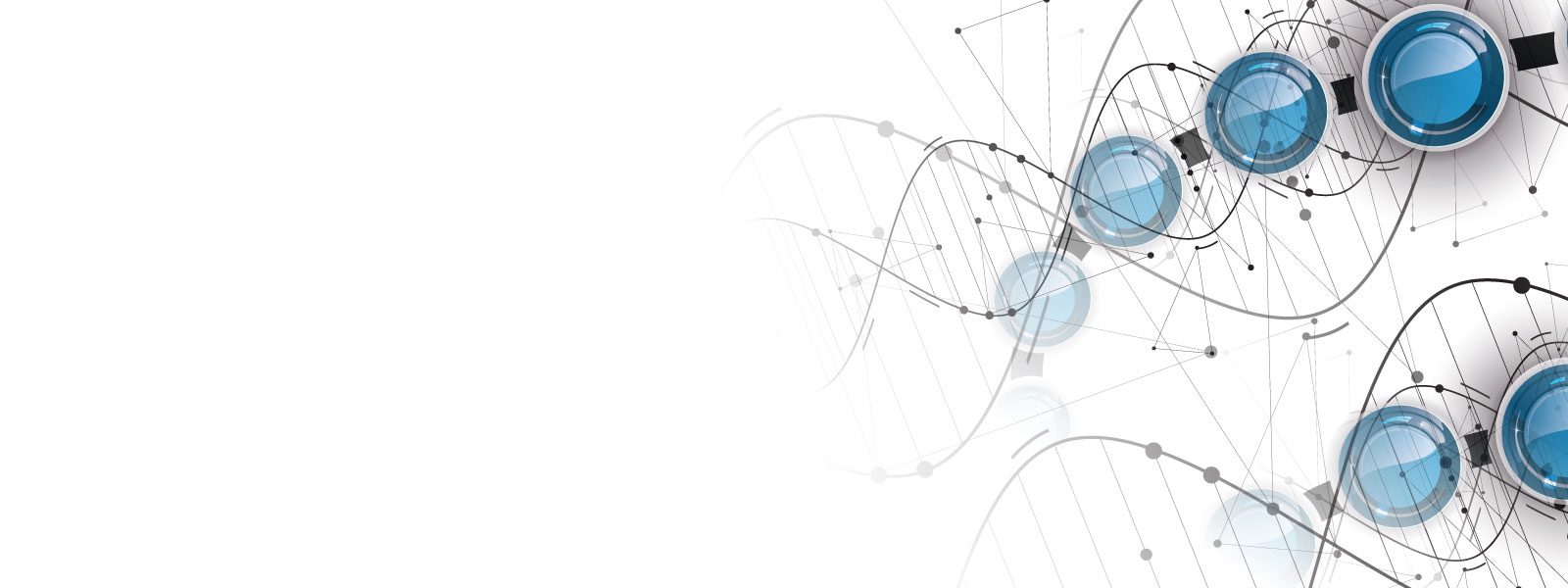 Babirus Medical Equipment | Healthcare & Laboratory Services